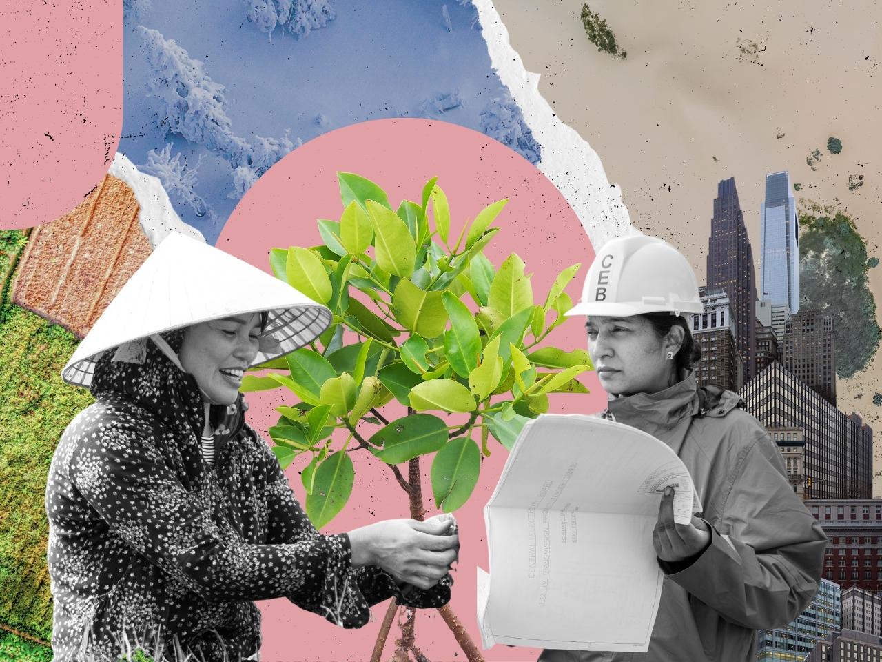 What is climate change adaptation and why is it crucial? | UNDP Climate Promise